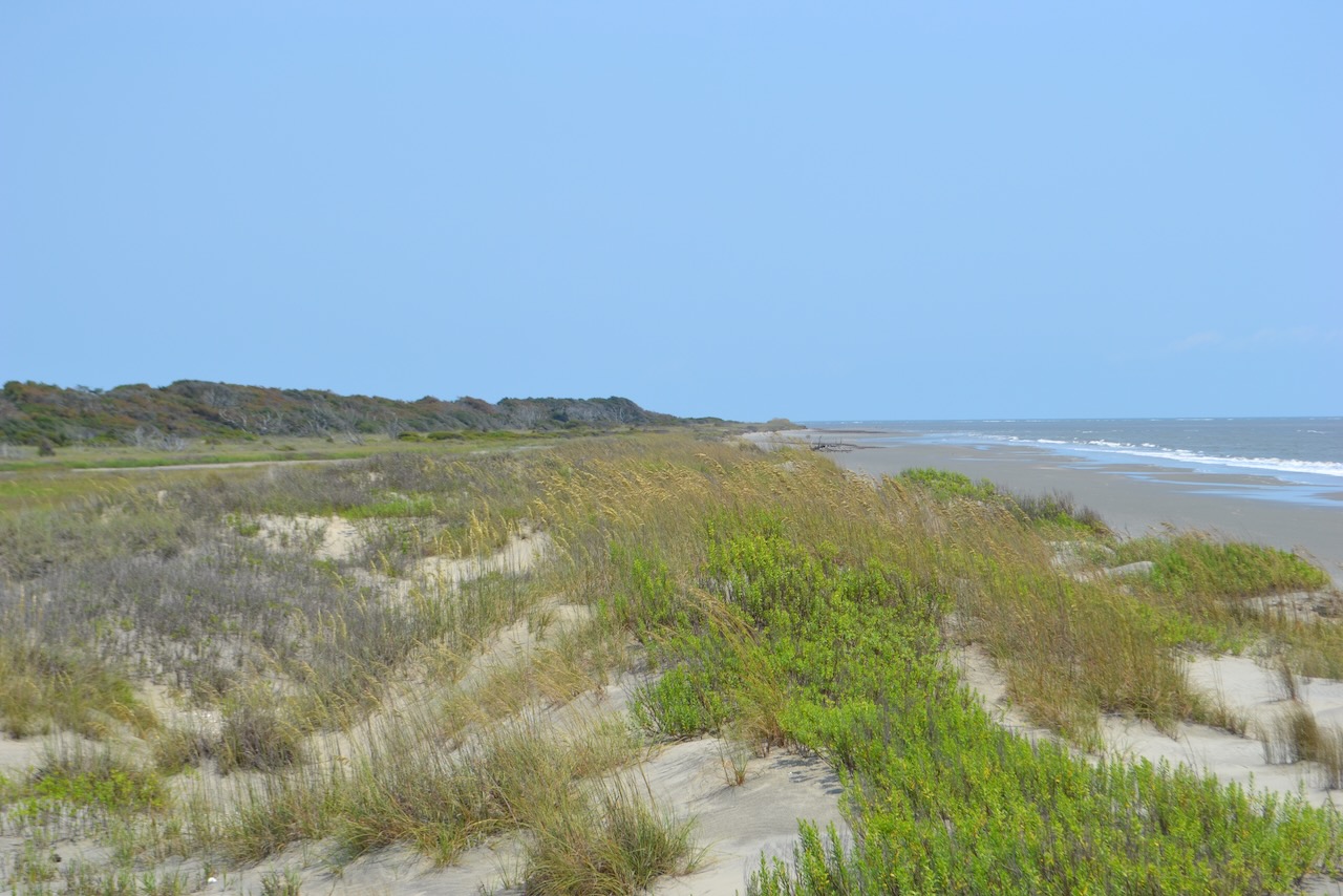 Raynor On The Coast – Exploring the Lowcountry and beyond.