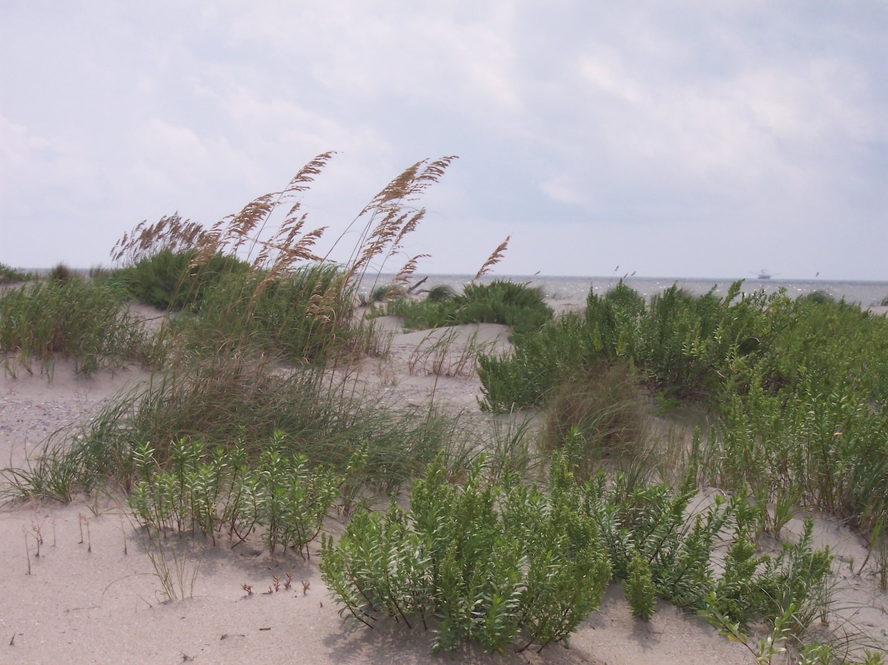 A once and future inlet – Raynor On The Coast